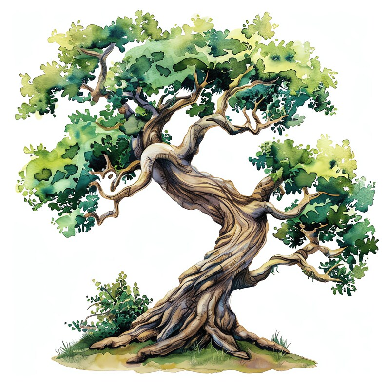 Mythical Tree PNG Clipart Bundle 50 Tree High Quality PNG Instant ...