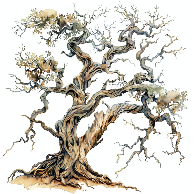 Ancient Tree With Wisdom Symbols PNG Clipart Bundle - 50 High Quality ...