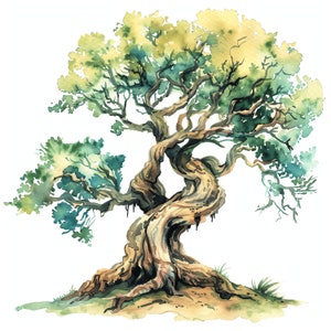 Mythical Tree PNG Clipart Bundle 50 Tree High Quality PNG Instant ...