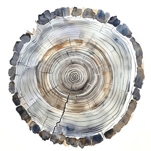 Tree Rings PNG Clipart Bundle 50 High Quality PNG Instant Download ...