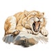 Sabertooth Clipart - 40 High Quality Jpgs - Digital Download - Card ...
