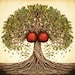 Renaissance Tree With Roots PNG Clipart Bundle - 45 High Quality PNG ...