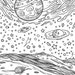 Outer Space Coloring Pages PDF Bundle 43 High Quality Images Instant ...