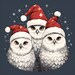 Christmas Owls PNG Clipart Bundle - 48 High Quality PNG - Instant ...