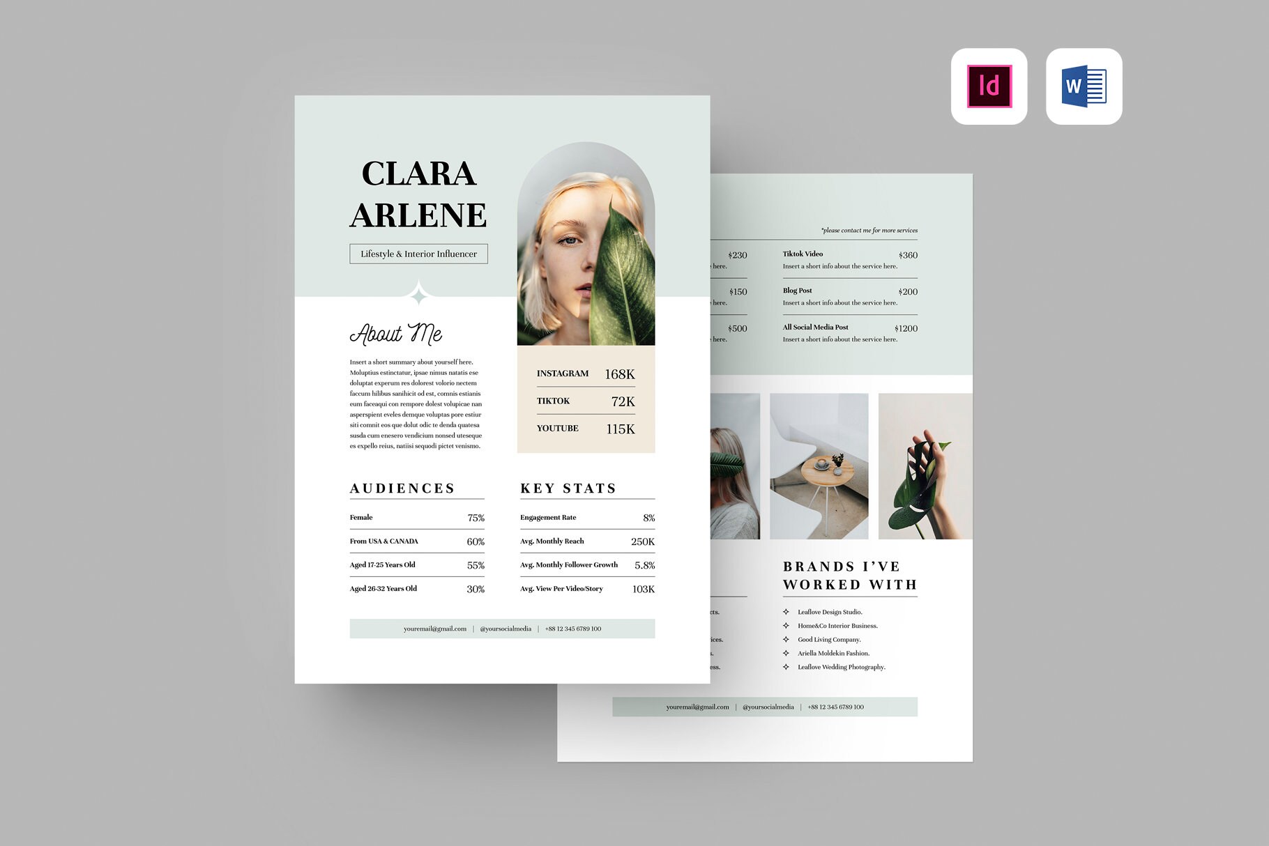 Media Kit Template Publisher