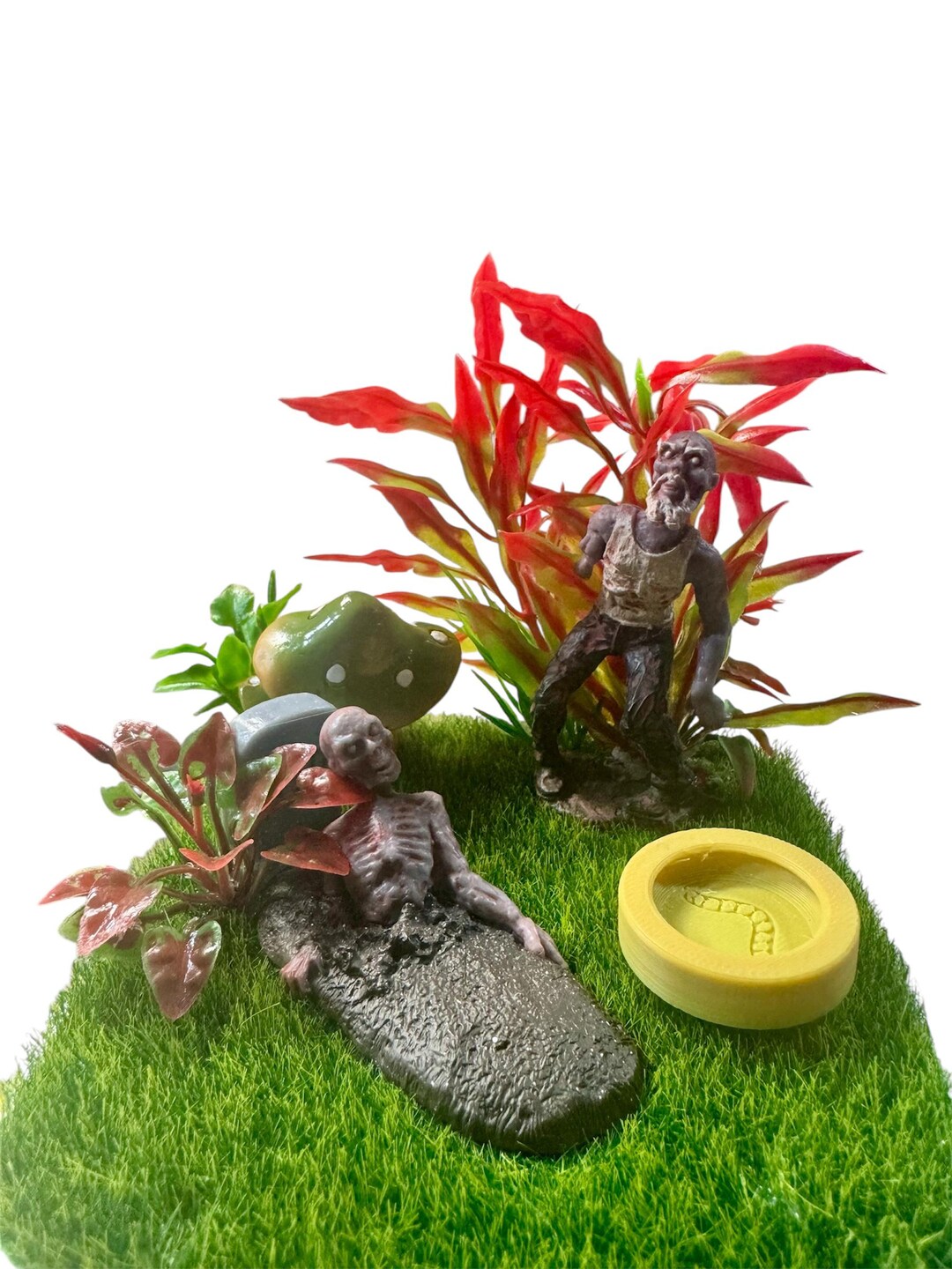 Custom Spooky Goth Zombie Skull Dead Clear Jumping Spider Enclosure ...