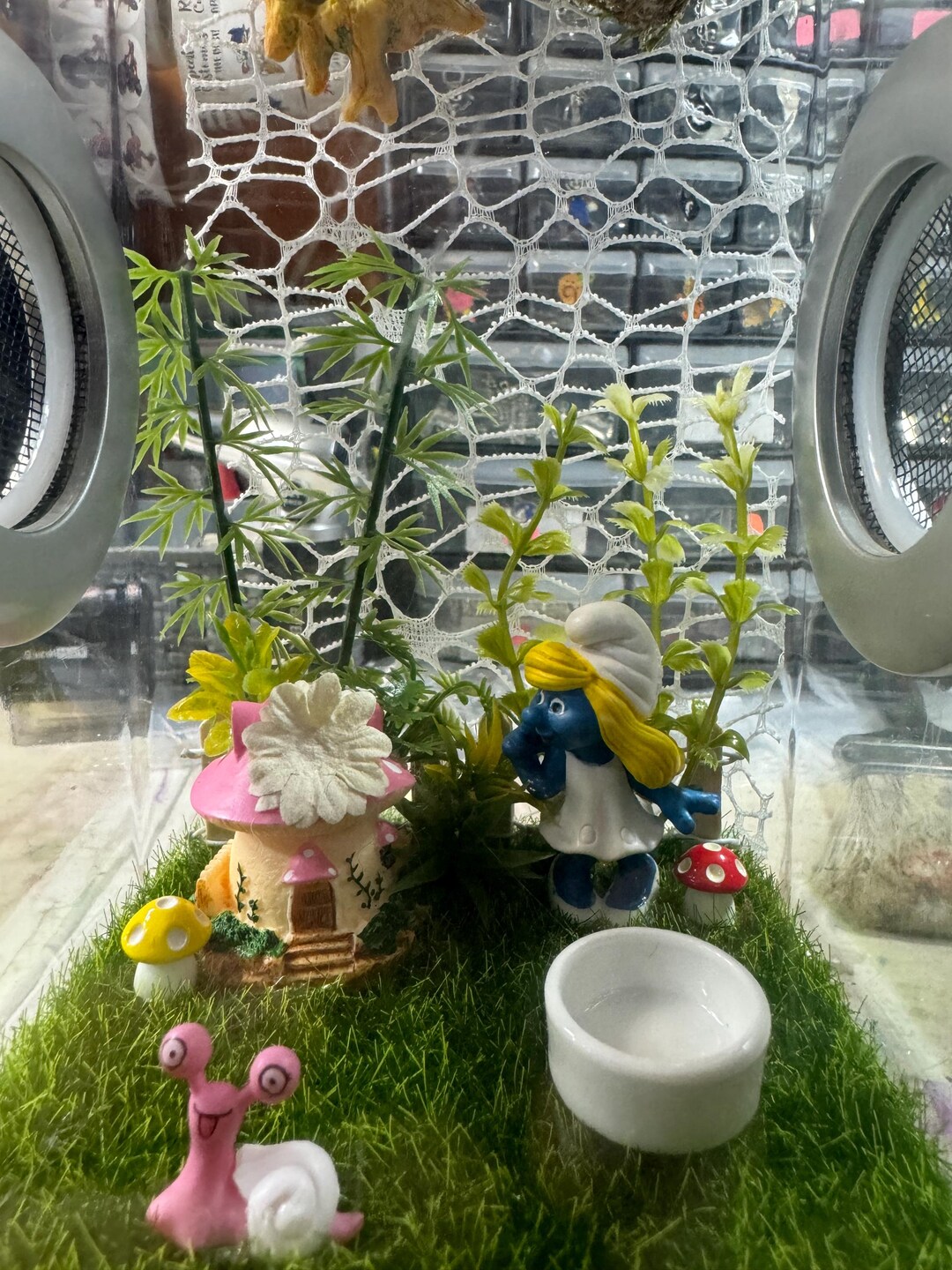 Custom Mushroom, Smurfette, Smurf Hides, Clear Jumping Spider Enclosure ...