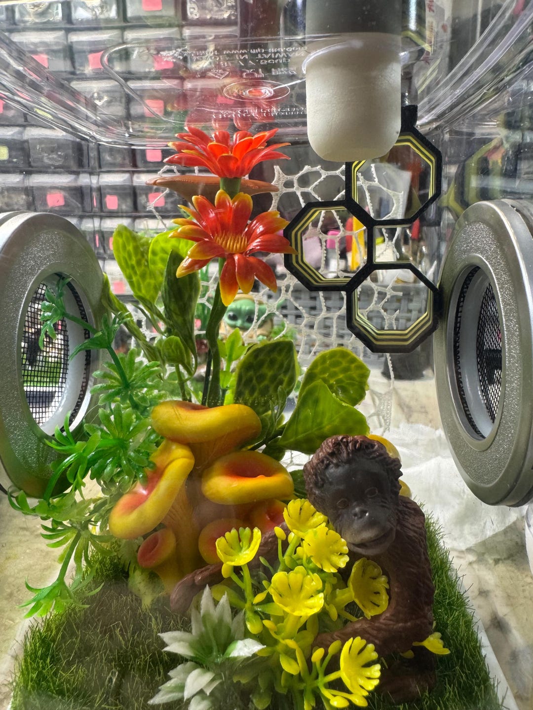 Custom Wildlife Zoo Mushroom, Flower, Hides, Clear Jumping Spider ...