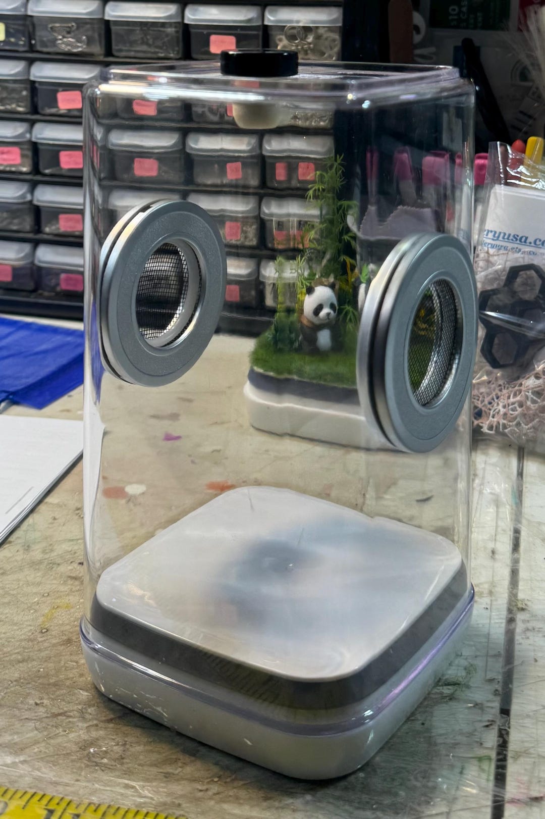 Clear Undecorated Jumping Spider Enclosure, Dual Silver Vents, Feed ...