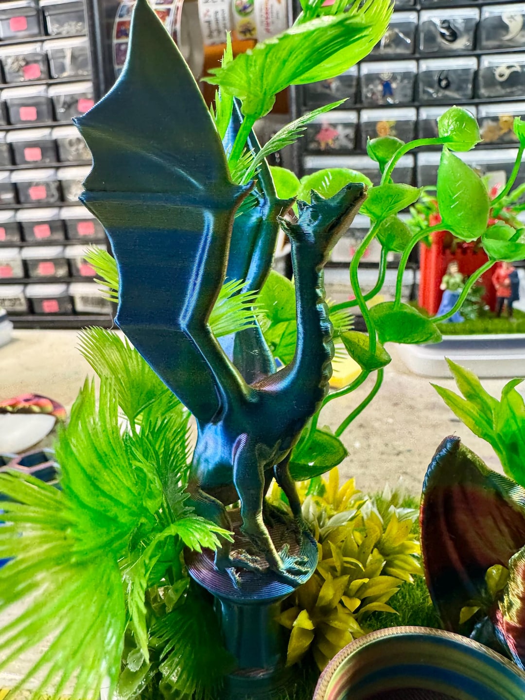 Custom Dual Dragons, Clouds, Many Colors, Hides, Clear Jumping Spider ...