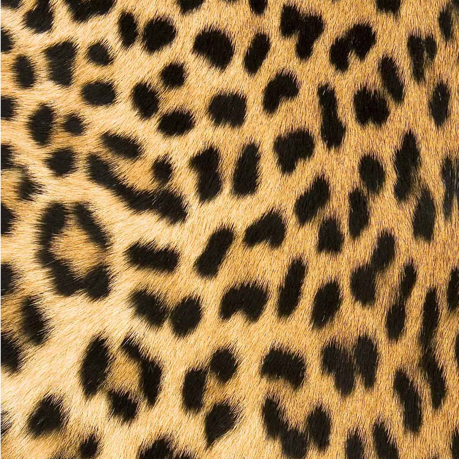 Men's Leopard Print Rockabilly Shirt Vintage Style Retro - Etsy