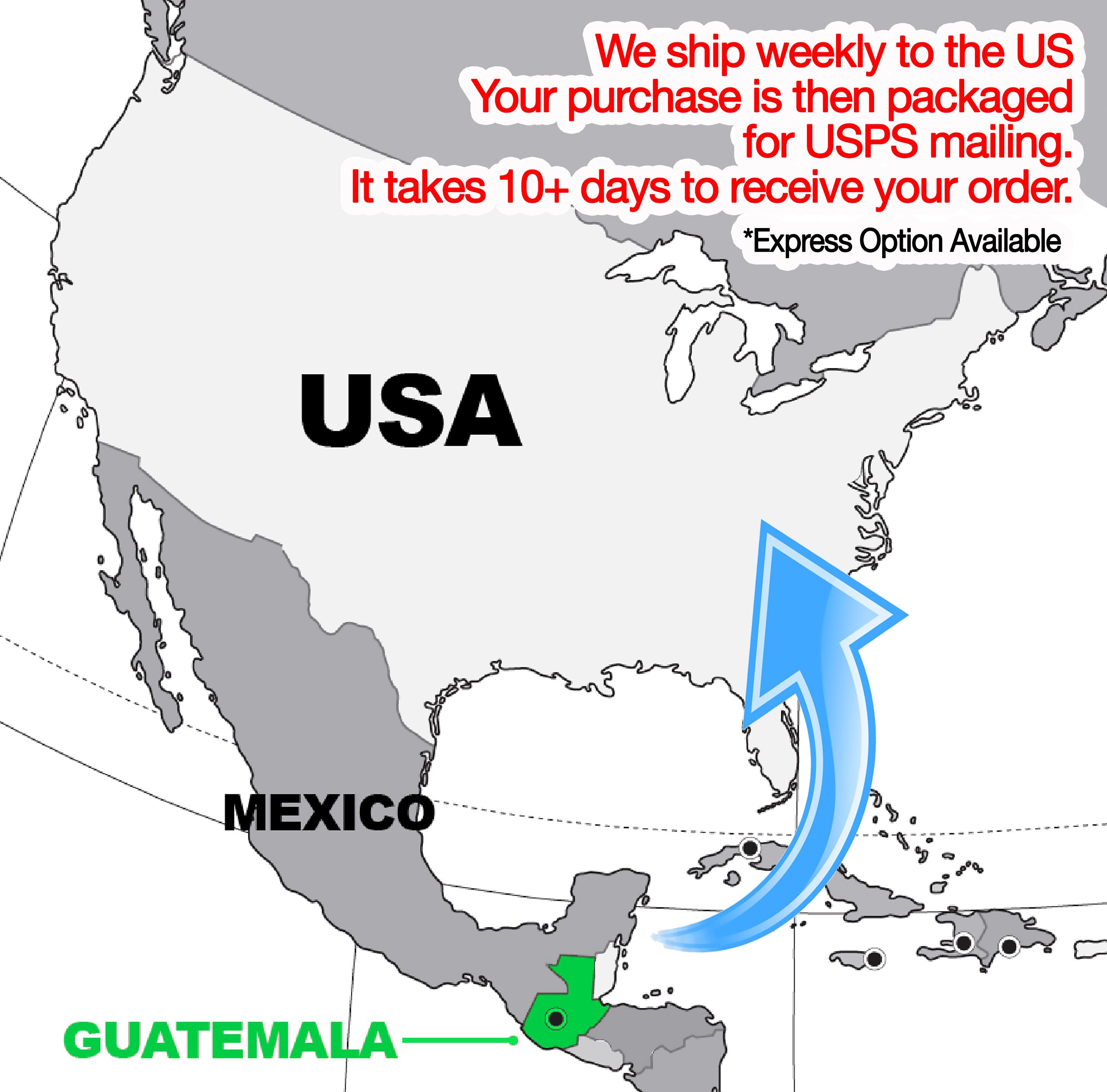 Loteria La Rosa Tin Sign Wall Decor for Hanging Aluminum | Etsy