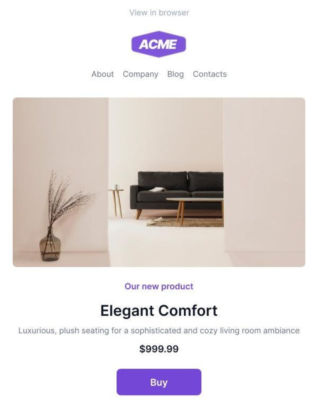 Customizable Responsive HTML Email Template for E-commerce ...