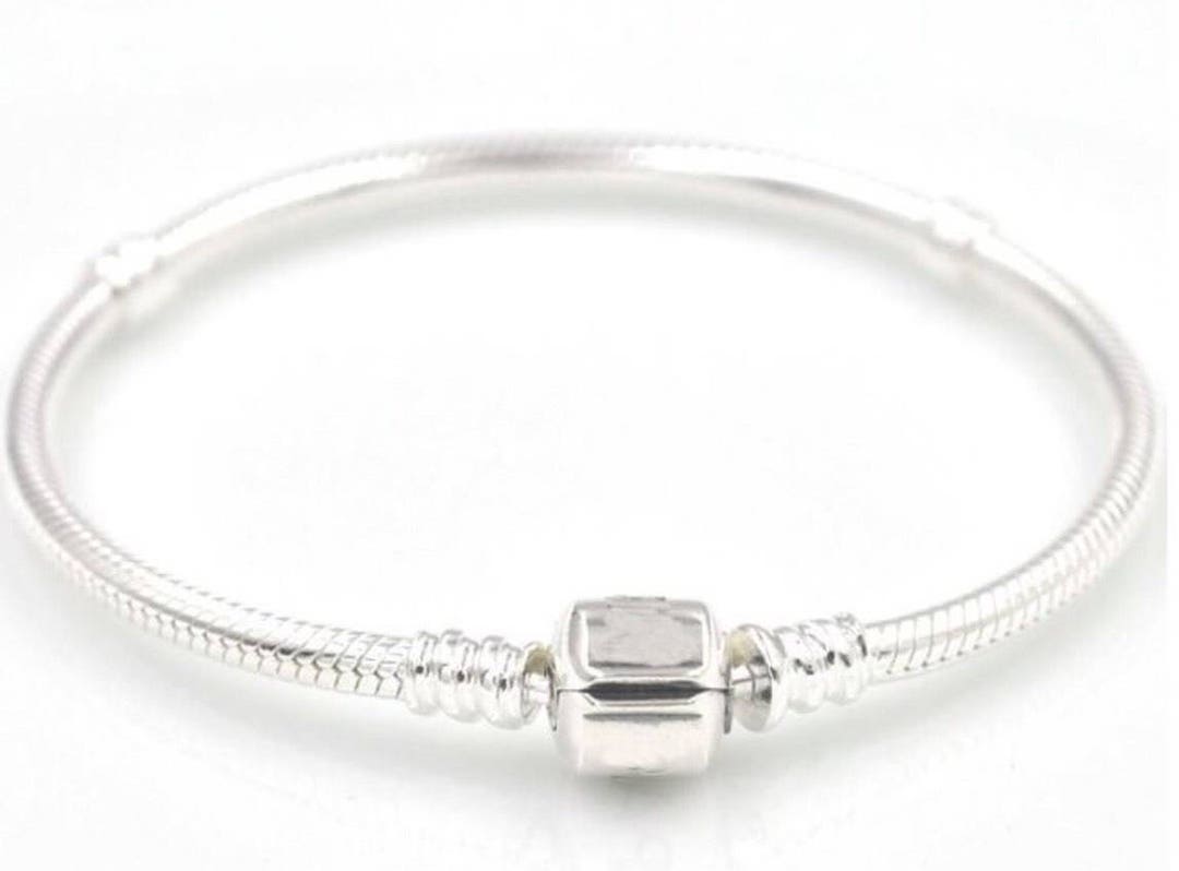 Gorgeous Brand New Silver Charm Bracelet With a Choice of 2 Charms ...