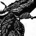 Macrodontia Cervicornis Sabertooth Longhorn Beetle Linocut - Etsy