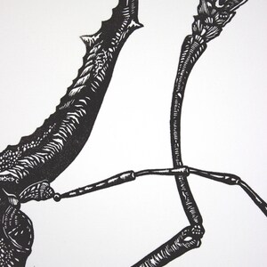 Macrodontia Cervicornis Sabertooth Longhorn Beetle Linocut - Etsy