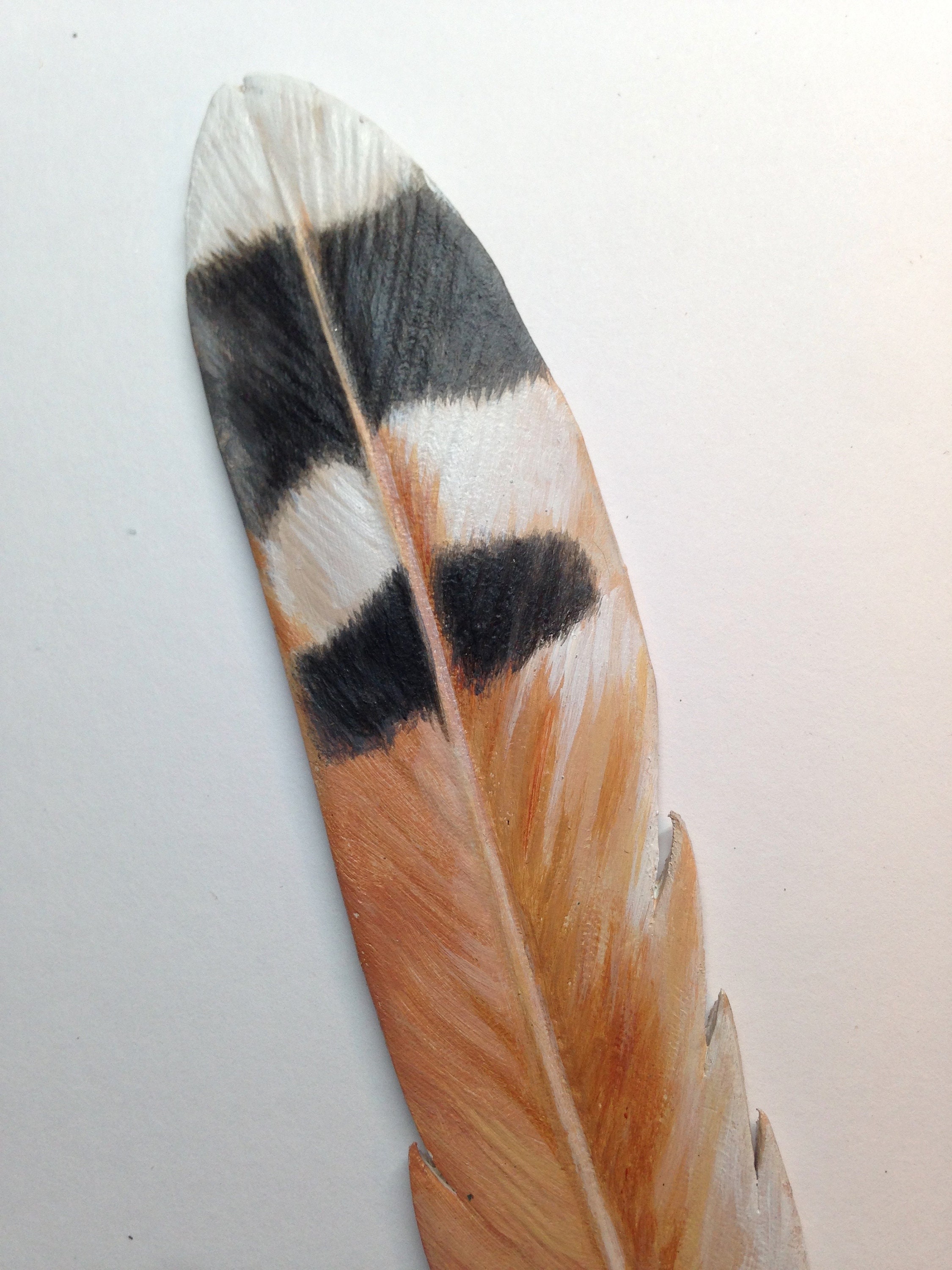 Painted Leather Feathers Barn Owl Feather American Kestrel - Etsy Denmark