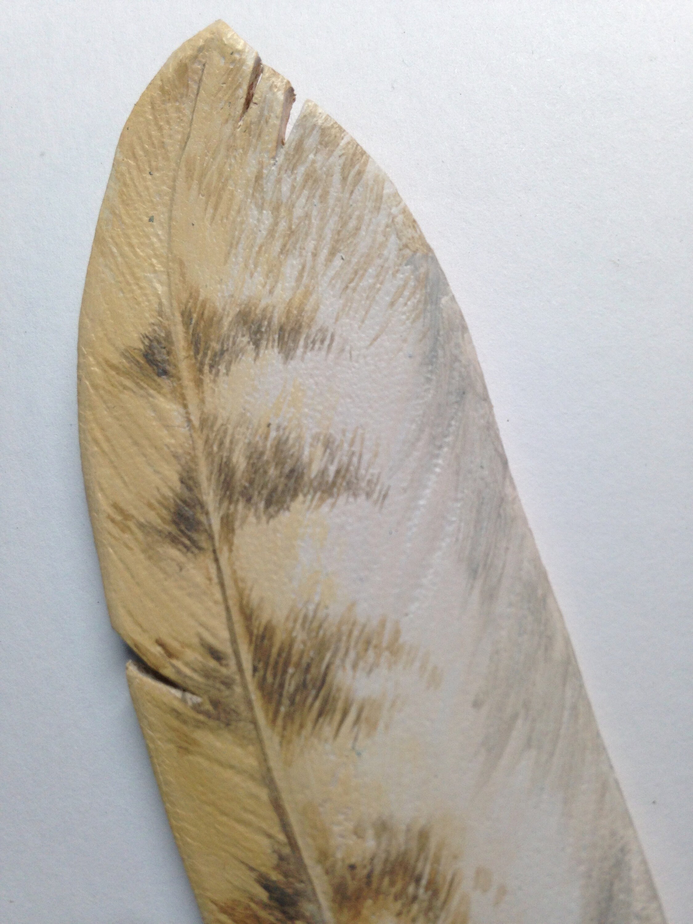 Painted Leather Feathers Barn Owl Feather American Kestrel - Etsy Denmark