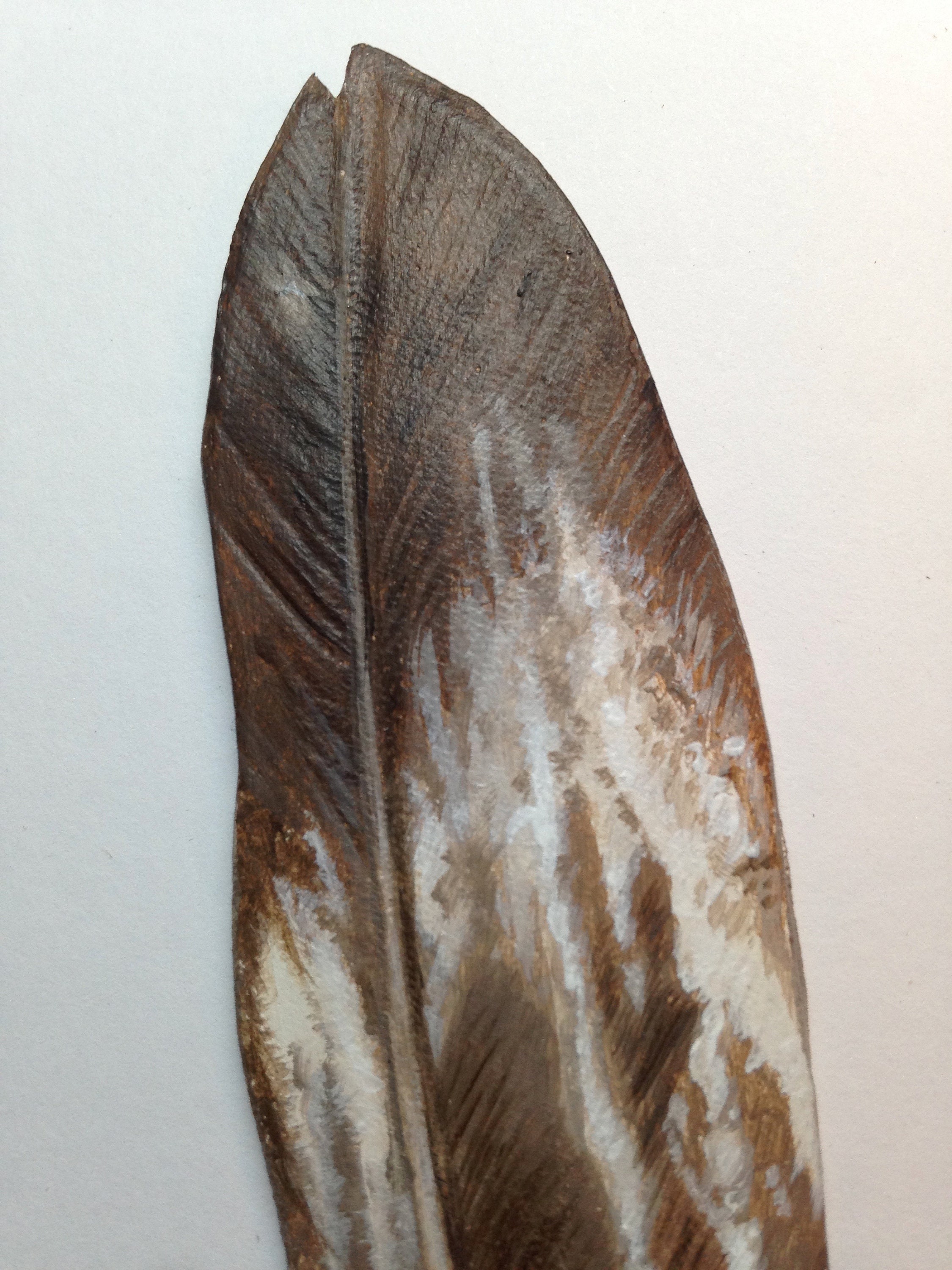 Painted Leather Feathers Barn Owl Feather American Kestrel - Etsy Denmark