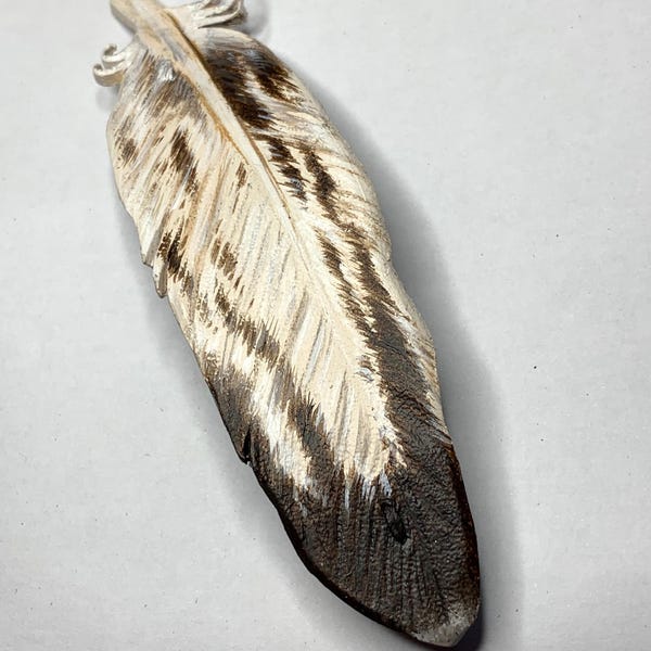 Real Eagle Feathers - Etsy