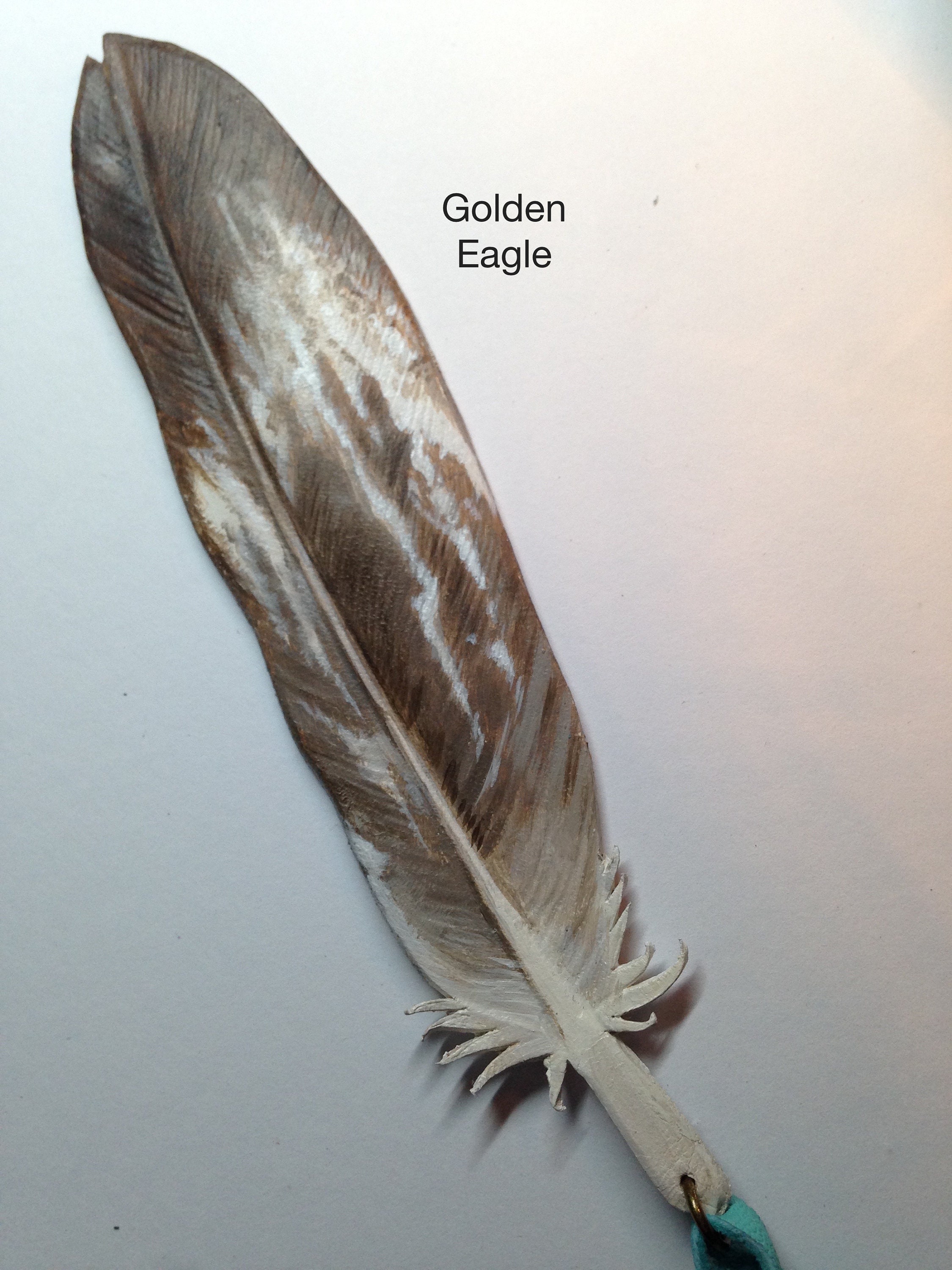 Painted Leather Feathers Barn Owl Feather American Kestrel - Etsy Denmark