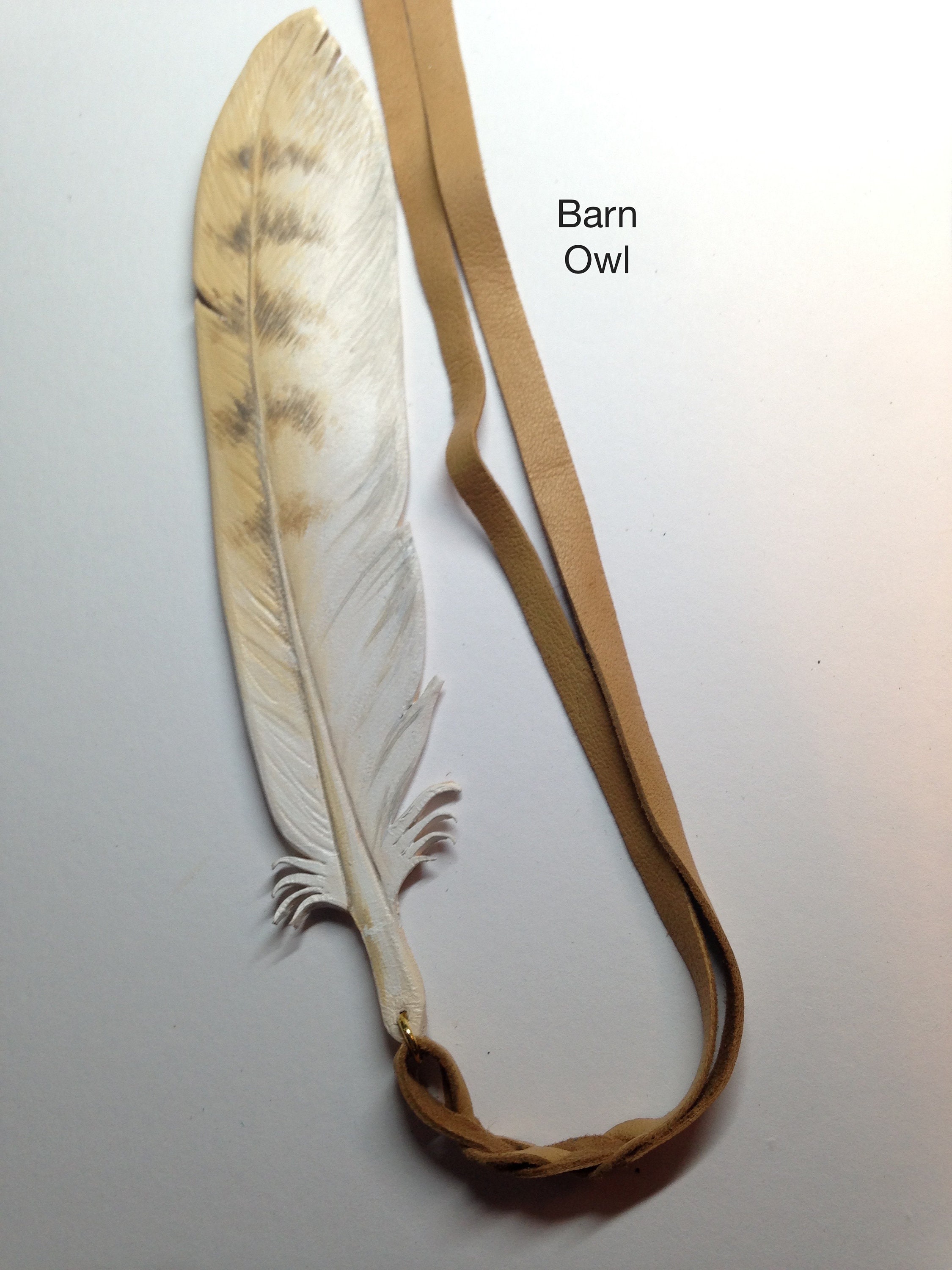 Painted Leather Feathers, Barn Owl Feather, American Kestrel Feather ...
