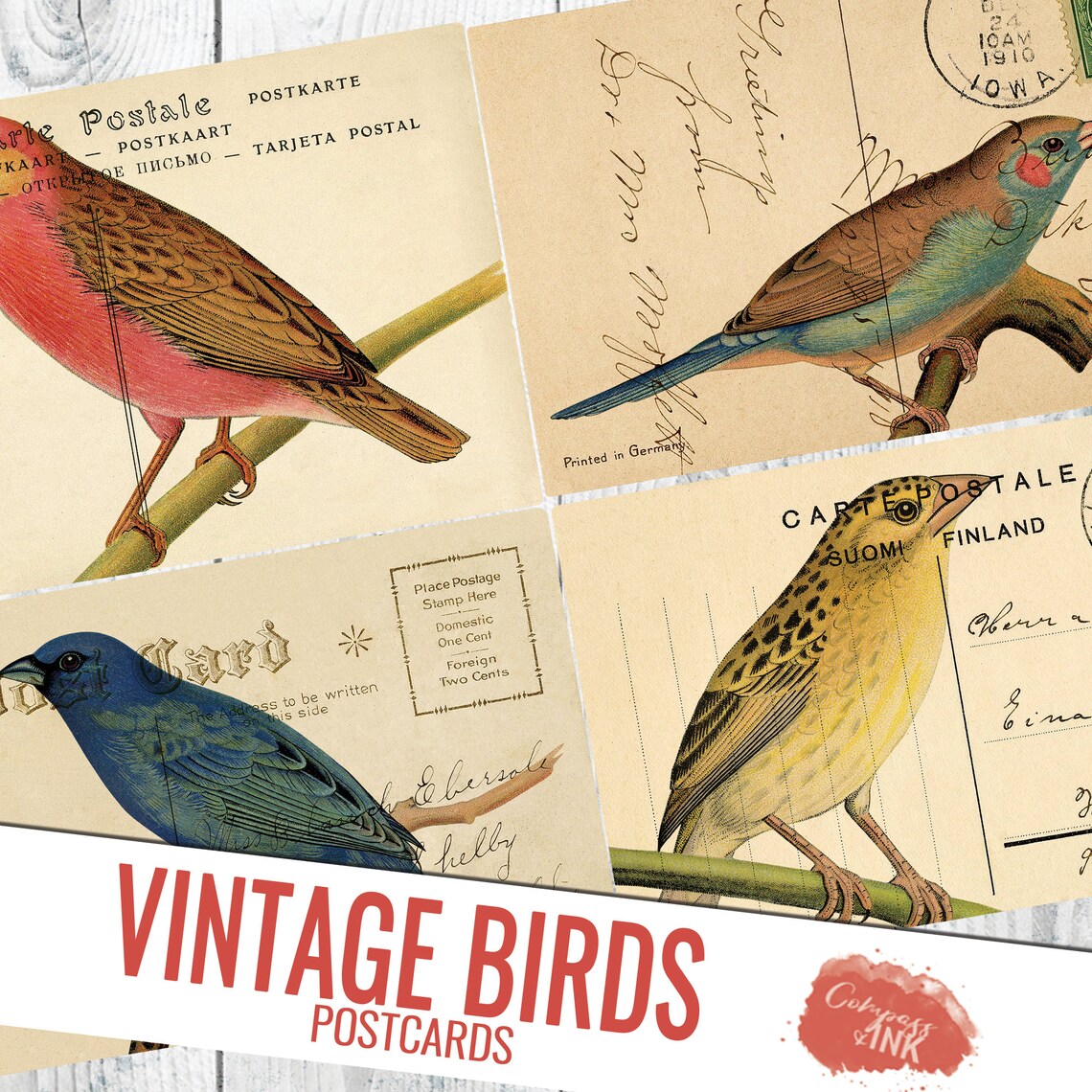Vintage Bird Postcard Printable Junk Journal Ephemera Bird - Etsy