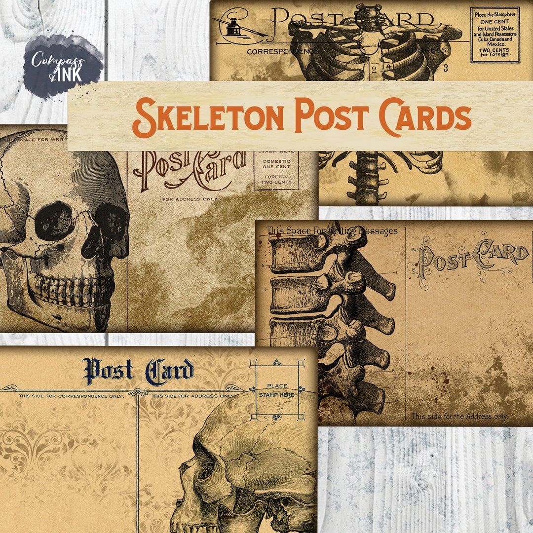 Skeleton Post Cards Printable, Halloween Post Card Printable, Vintage ...
