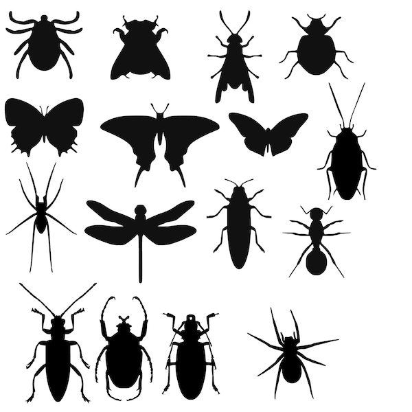 Bug Decals - Etsy