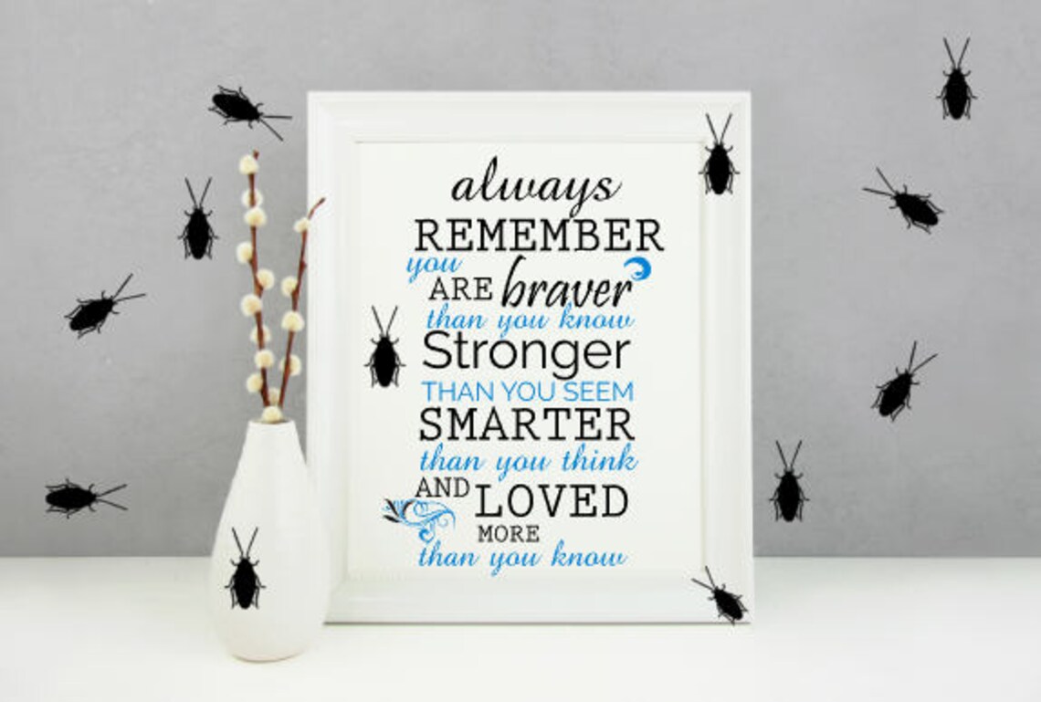 Cockroach Decals, Roach Decals, Halloween Decals, Wall Decals ...