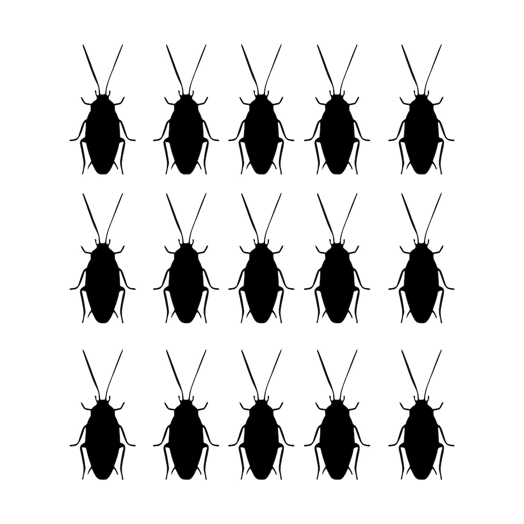 Cockroach Decals, Roach Decals, Halloween Decals, Wall Decals ...