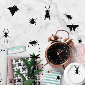 Bug Decals, Roach Decals, Halloween Decals, Wall Decals, Cockroach Wall ...
