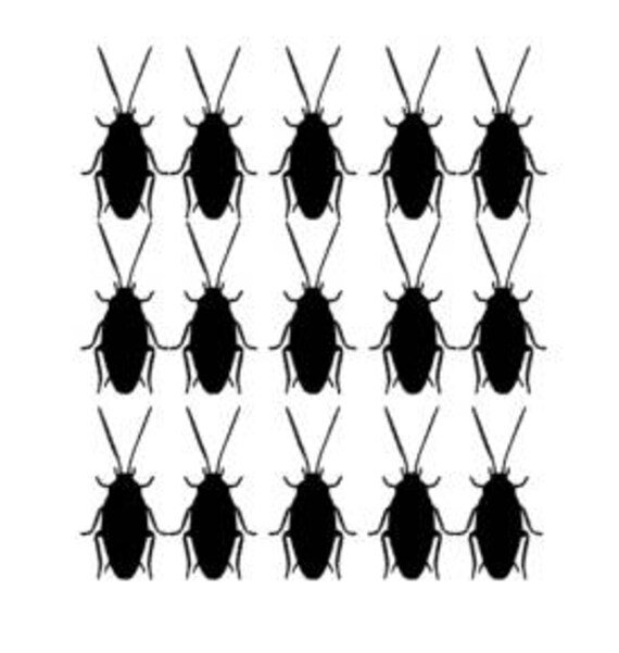 Cockroach Decals roach decals Halloween decals Wall decals | Etsy