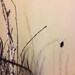Cockroach Decals, Roach Decals, Halloween Decals, Wall Decals ...