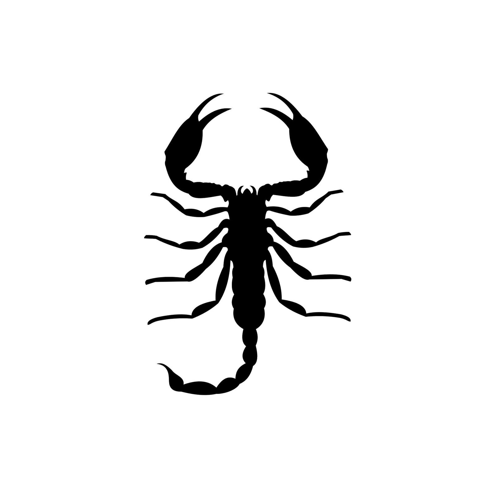 Scorpion Vinyl Decal Scorpion Decal Scorpion Scorpion Car - Etsy