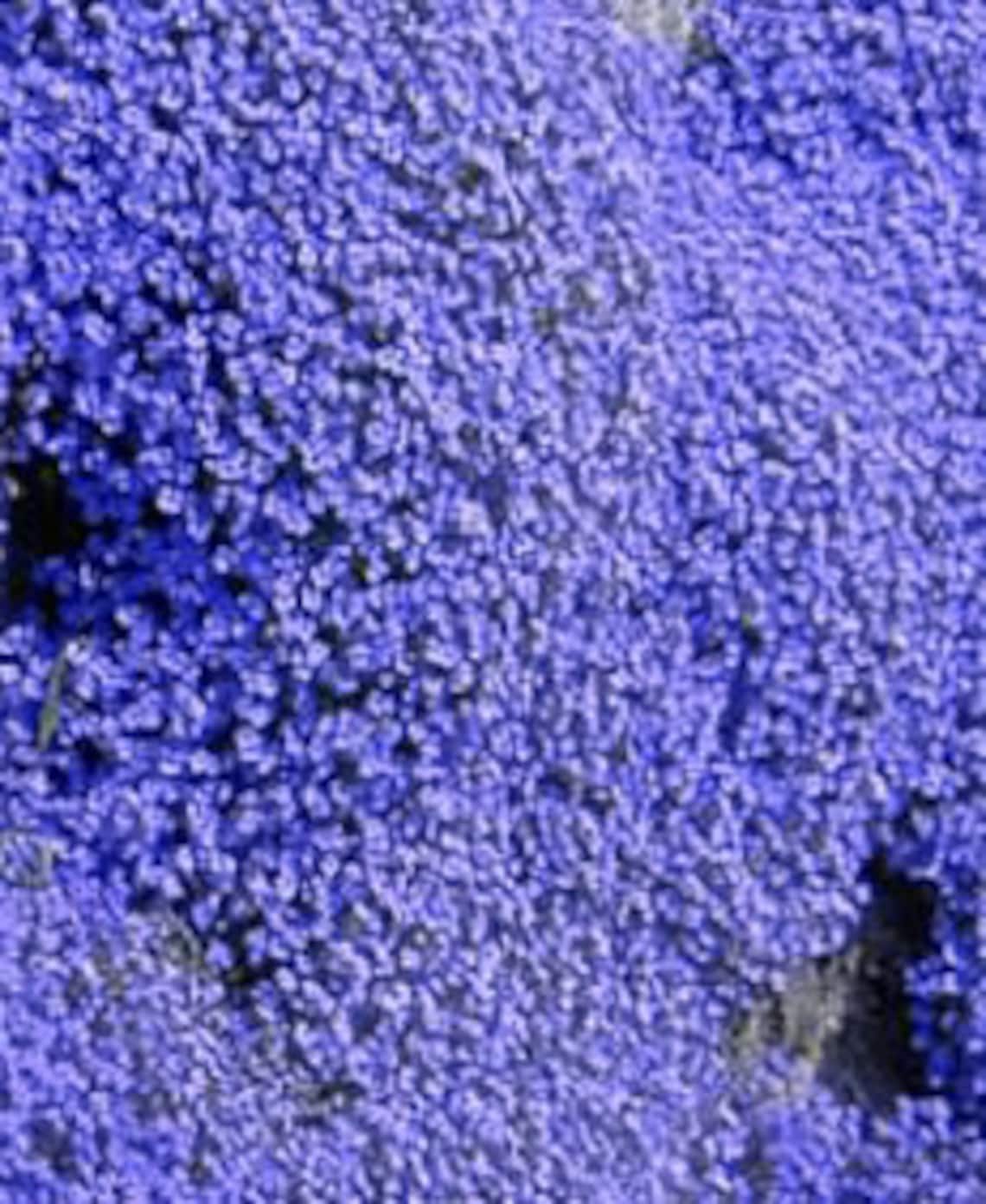 Royal Blue ROCK CRESS AUBRIETA Hanging Trailing Hardy - Etsy Australia