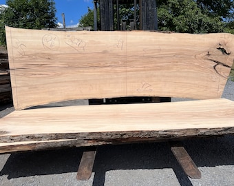 Ten Foot Ash Wood Slab. Ash Wood Slab. Ash Live Edge Wood Slab - Etsy
