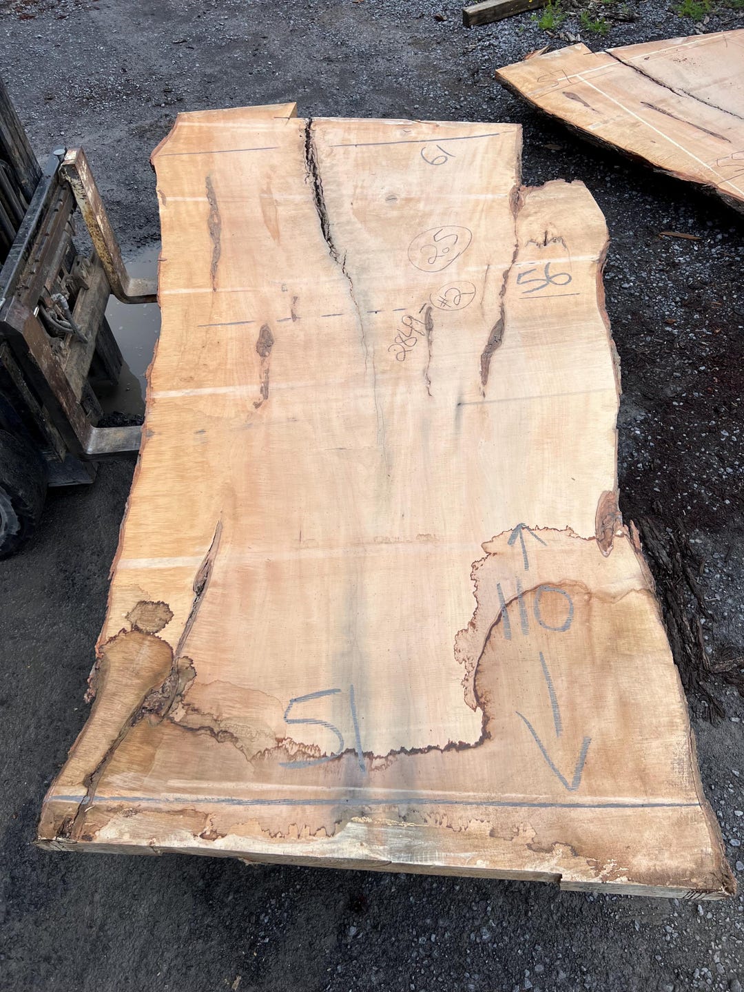 Live Edge Curly Maple Slab # 2849-2 - Etsy