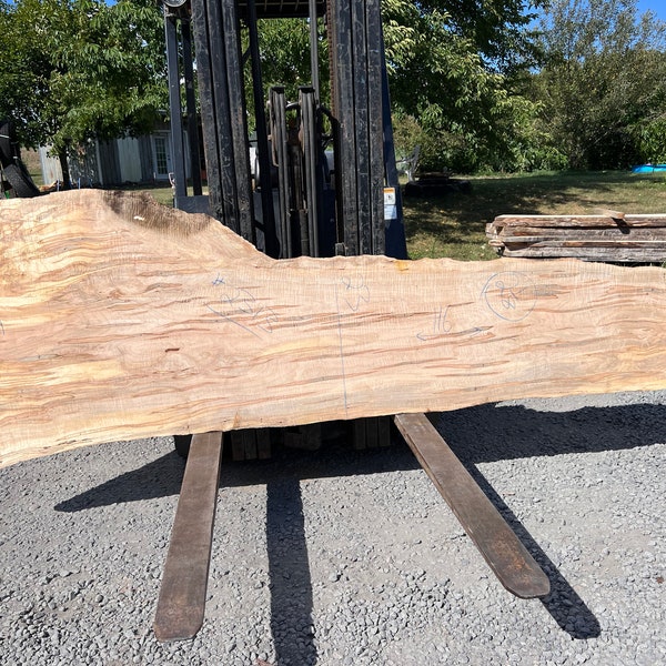 Live Edge Slab Bar - Etsy