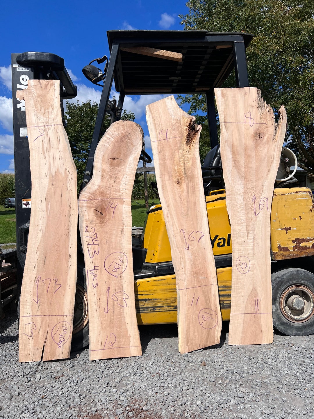 Live Edge HARD Maple Slabs # 2743 (4pcs) - Etsy