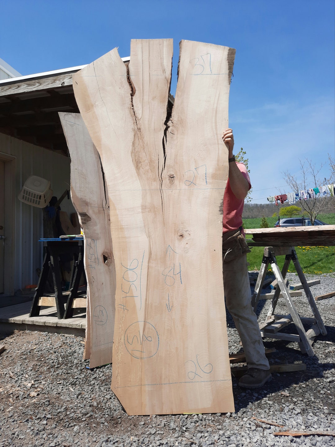 Hard Maple Slab # 1506 - Etsy