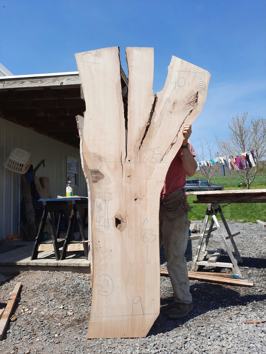 Hard Maple Slab #1505 - Etsy