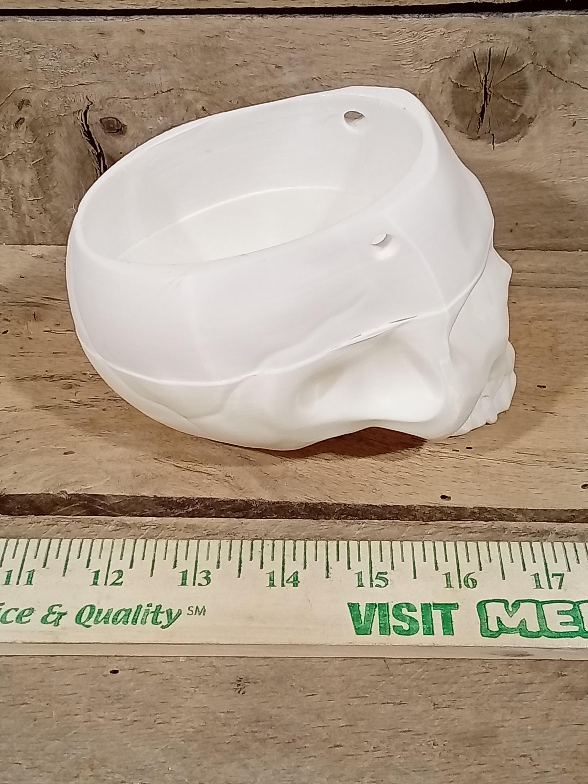 3D Printed Skull Skeleton Planter. White Plant Flowers or Plants ...