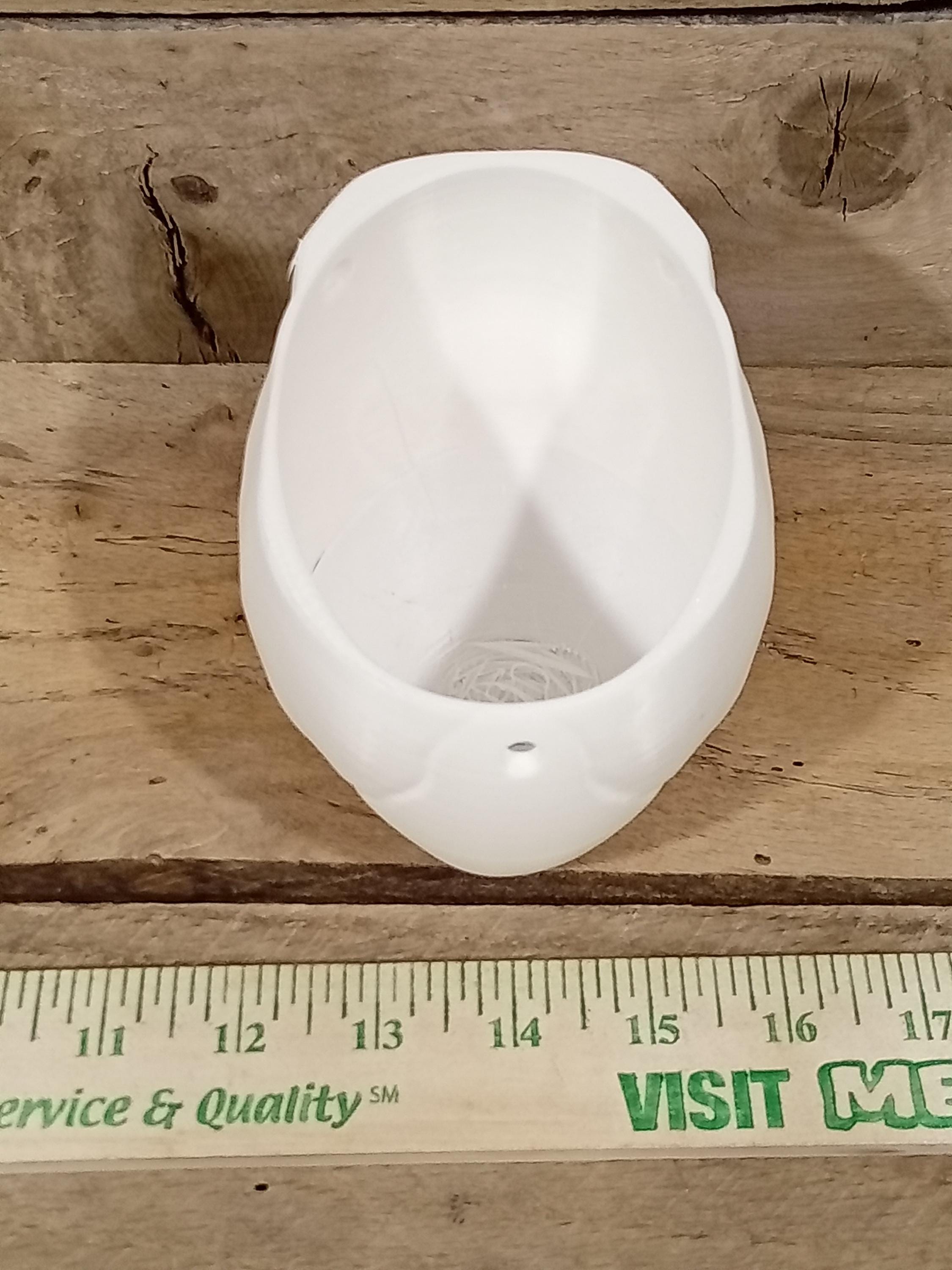 3D Printed Skull Skeleton Planter. White Plant Flowers or Plants ...