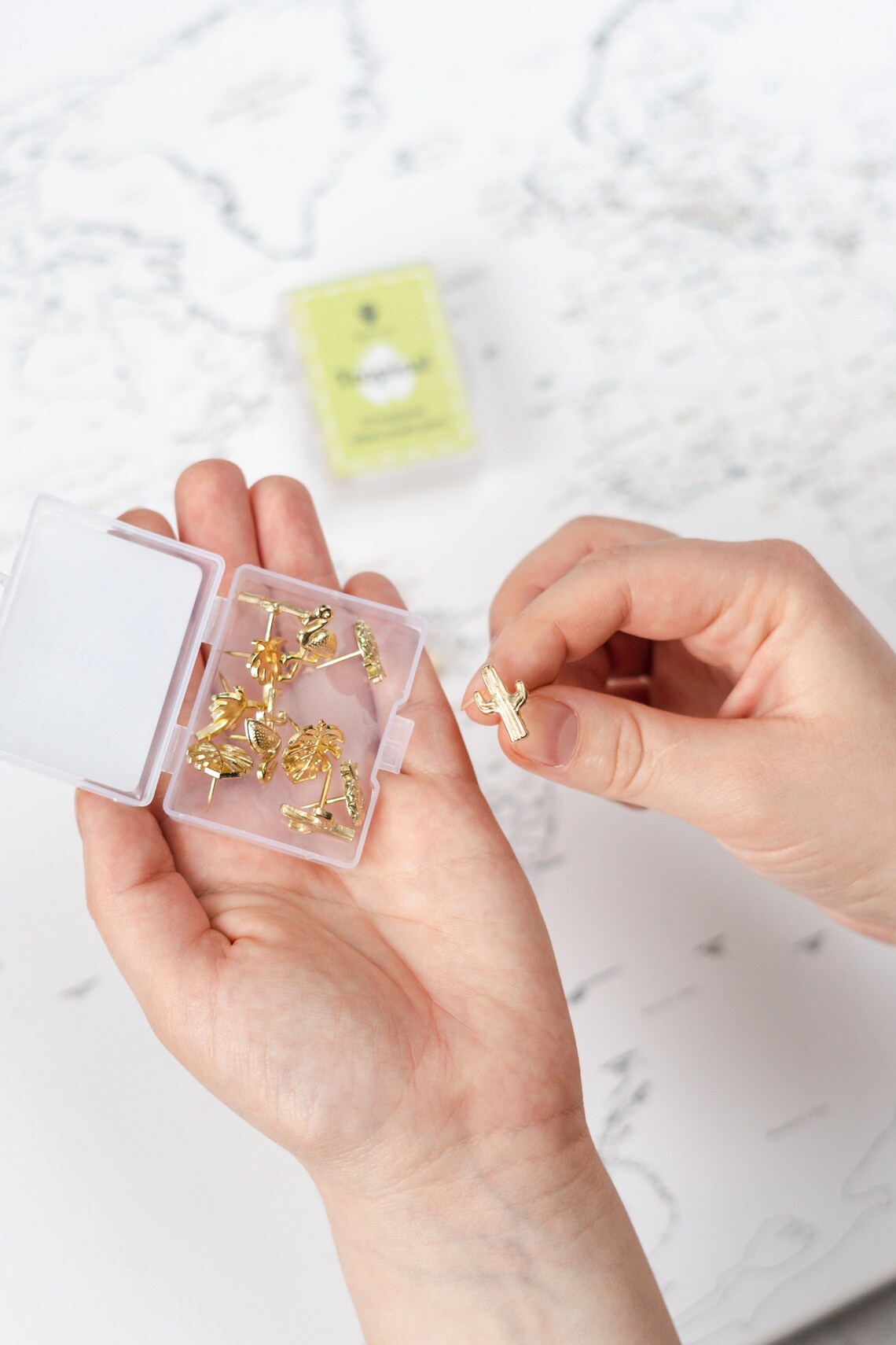 Gold Tropical Map Push Pins - Puntine con punta in acciaio inossidabile ...