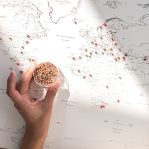 Push Pin World Map Small Framed Canvas, Places Traveled Map Wall Art ...