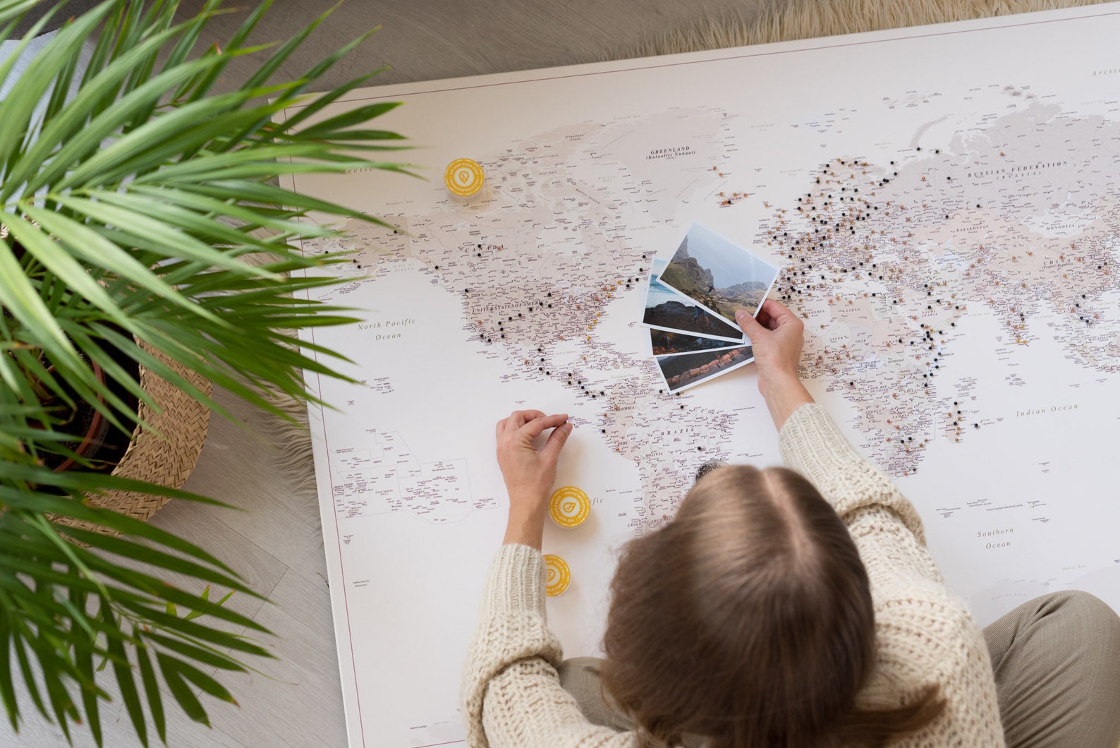 Push Pin World Map Detailed, Personalized Travel Map Pin Board Canvas ...