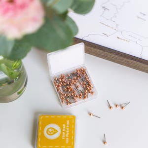 Small Push Pin US Travel Map With Pins, USA States and National Parks ...