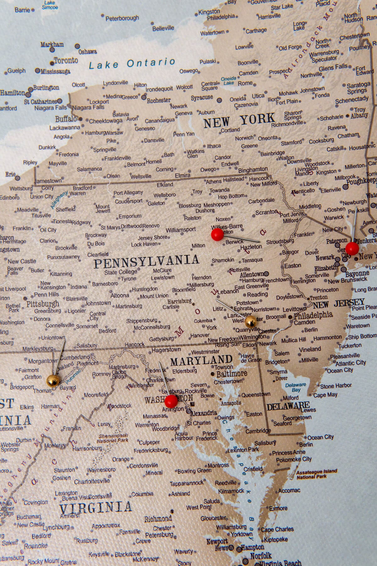 Large Push Pin USA Map Canvas Wall Decor, Detailed Personalized Travel ...