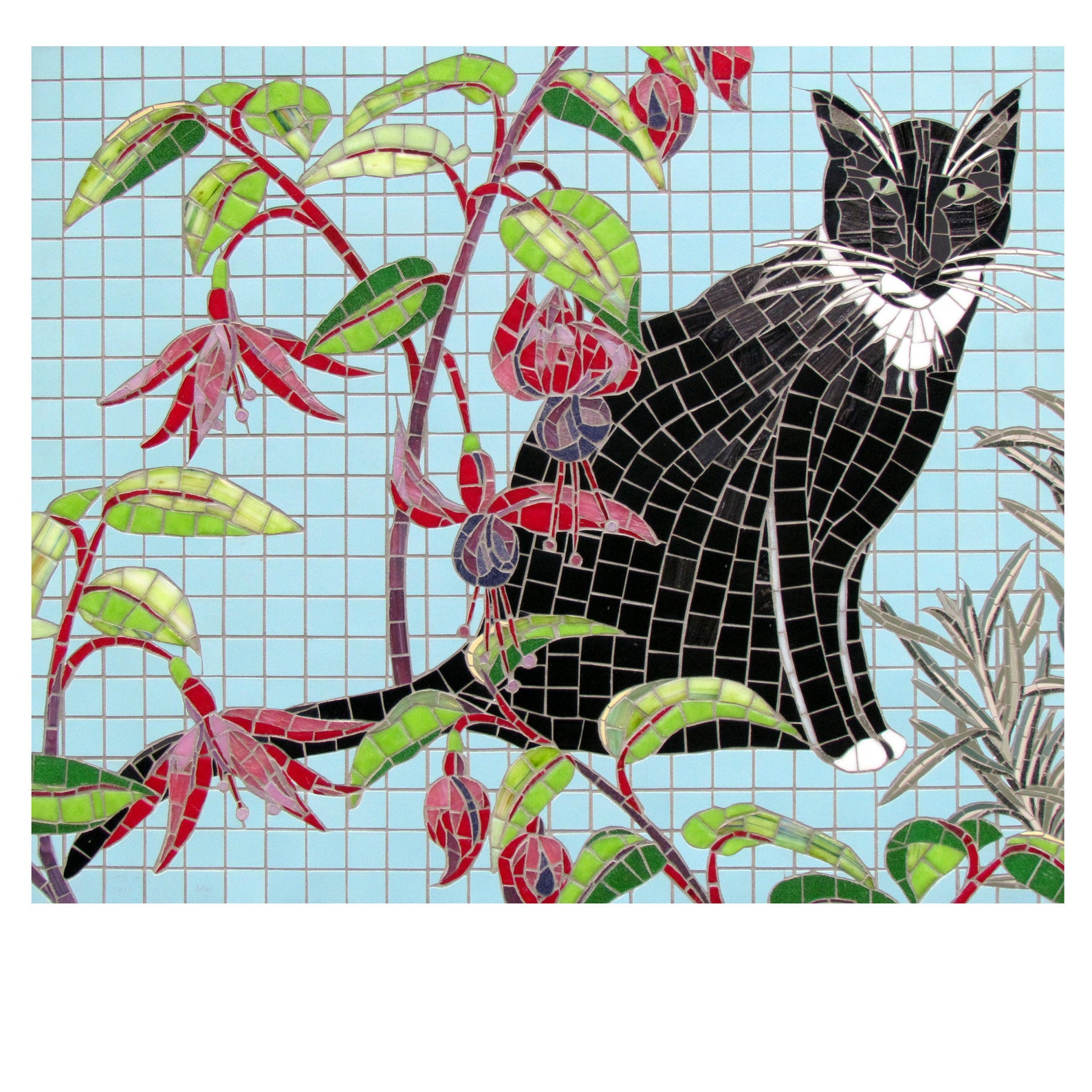 Mac the Black and White Cat Greetings Card - Etsy